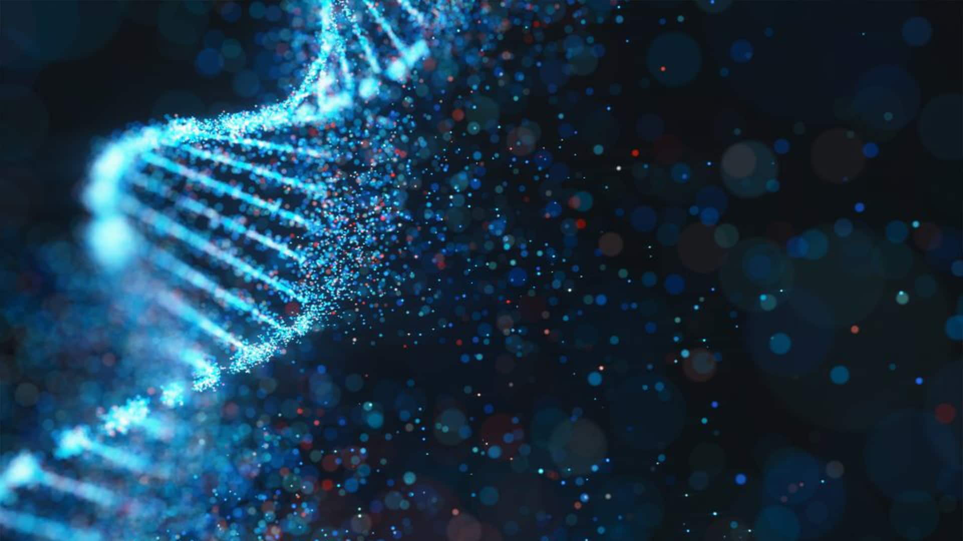 DNA ERA │ Spoznajte sa vďaka genetickým DNA testom